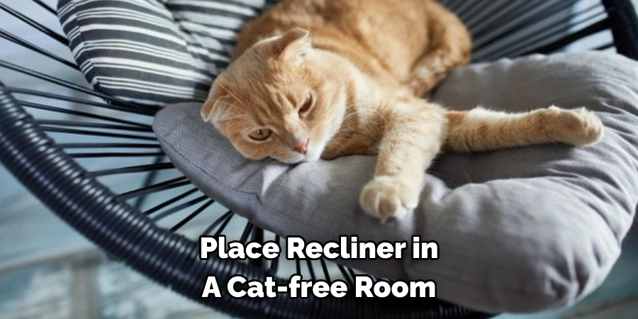 How to Make a Recliner Cat Safe | Pro Tips