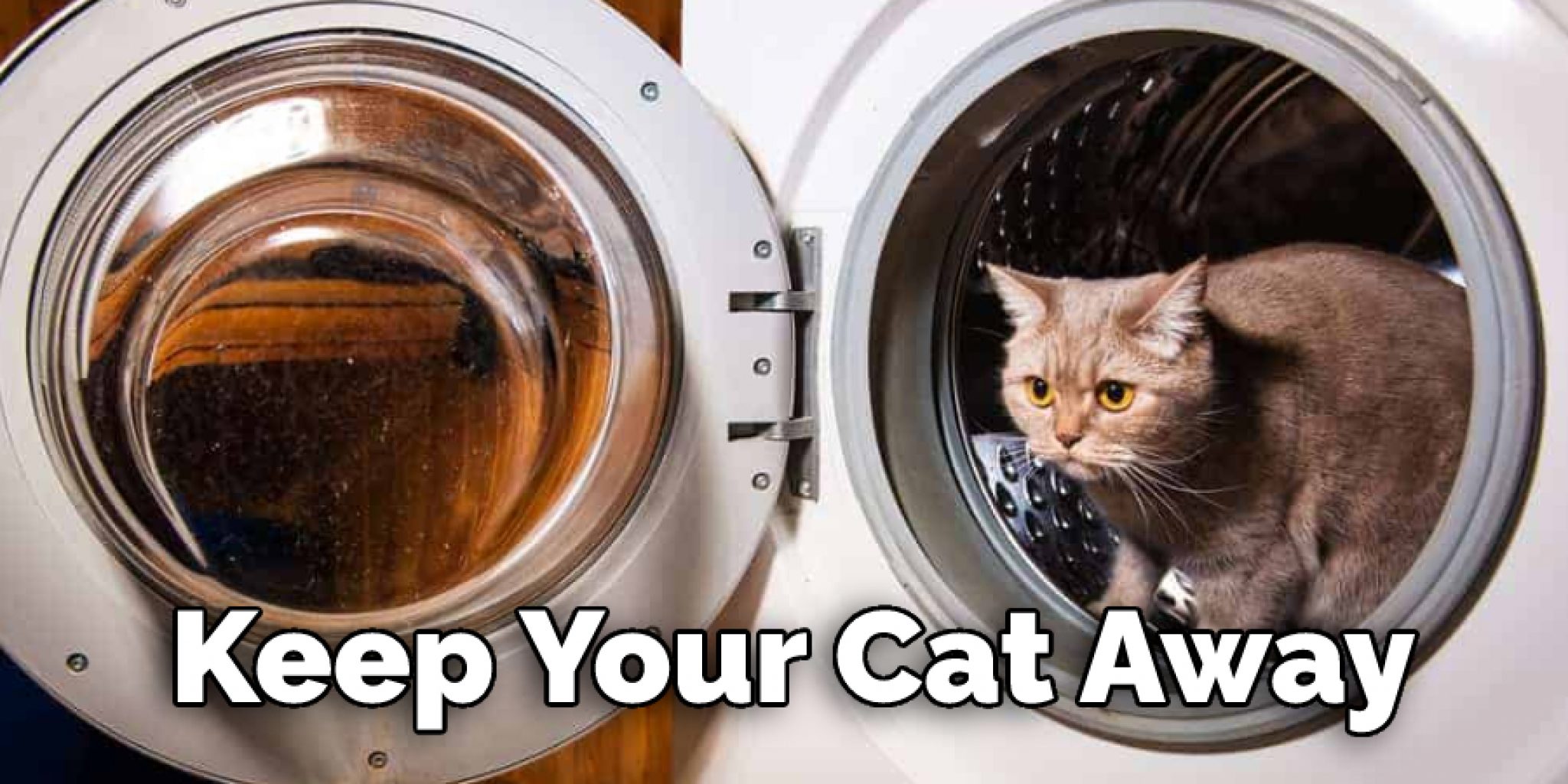 How to Block Cat From Going Behind Washer and Dryer | Detailed Guide