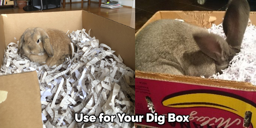 How to Make a Rabbit Dig Box | Explained in 09 Steps