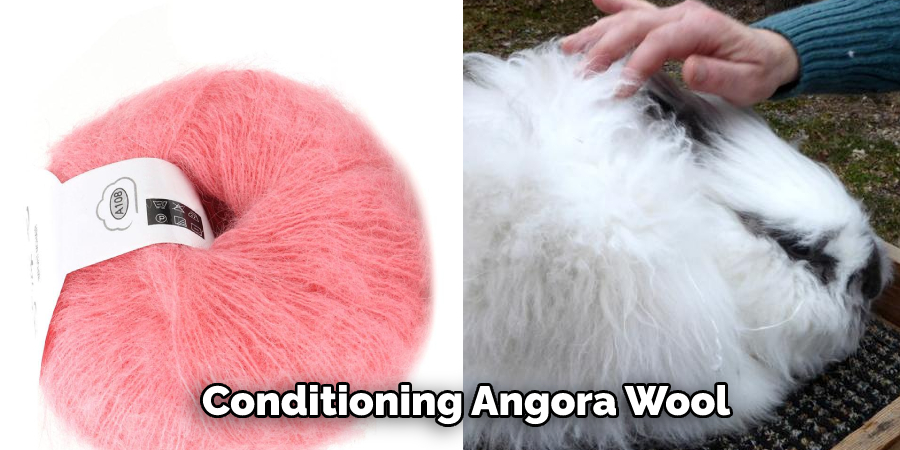 How to Spin Angora Rabbit Wool | Explained in 06 Steps