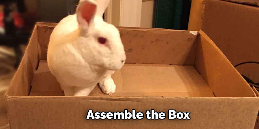How to Make a Digging Box for Rabbits | Described in 08 Steps