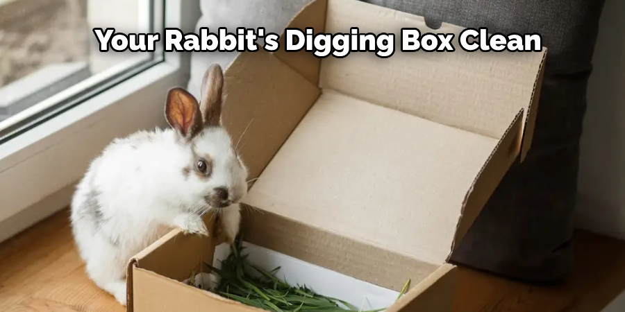 How to Make a Digging Box for Rabbits | Described in 08 Steps
