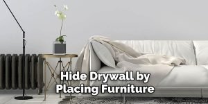 How to Protect Drywall from Dog | Step by Step Guide