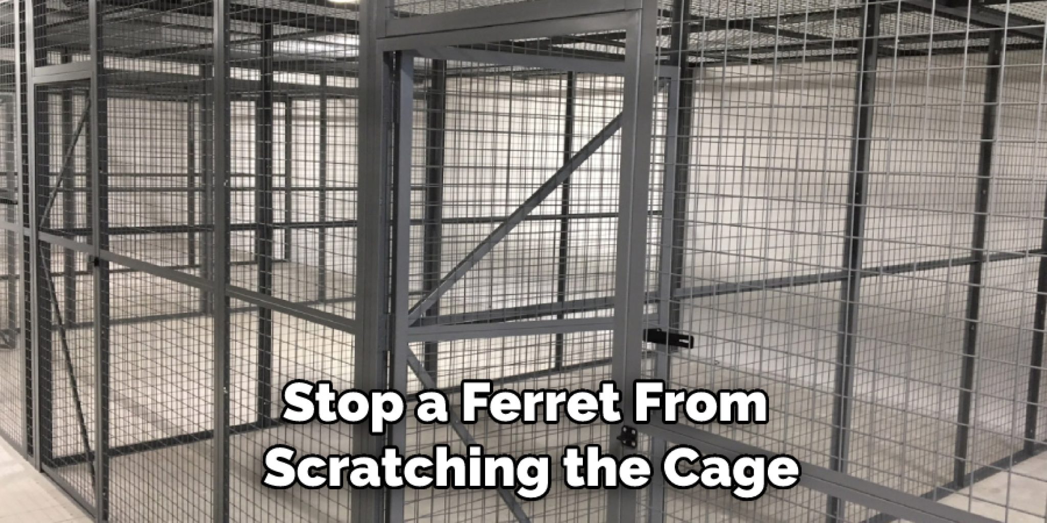 How to Stop a Ferret from Scratching the Cage in 6 Easy Steps (2025)