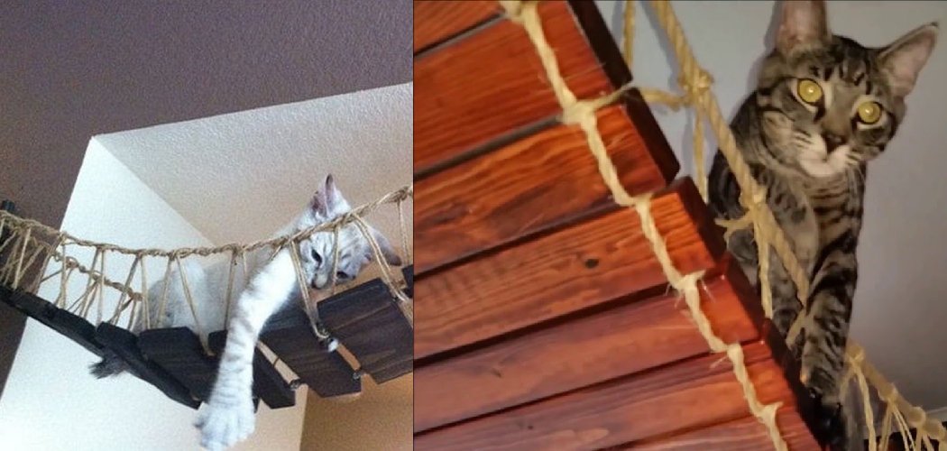 How to Build a Cat Bridge | Described in 07 Steps (2026)