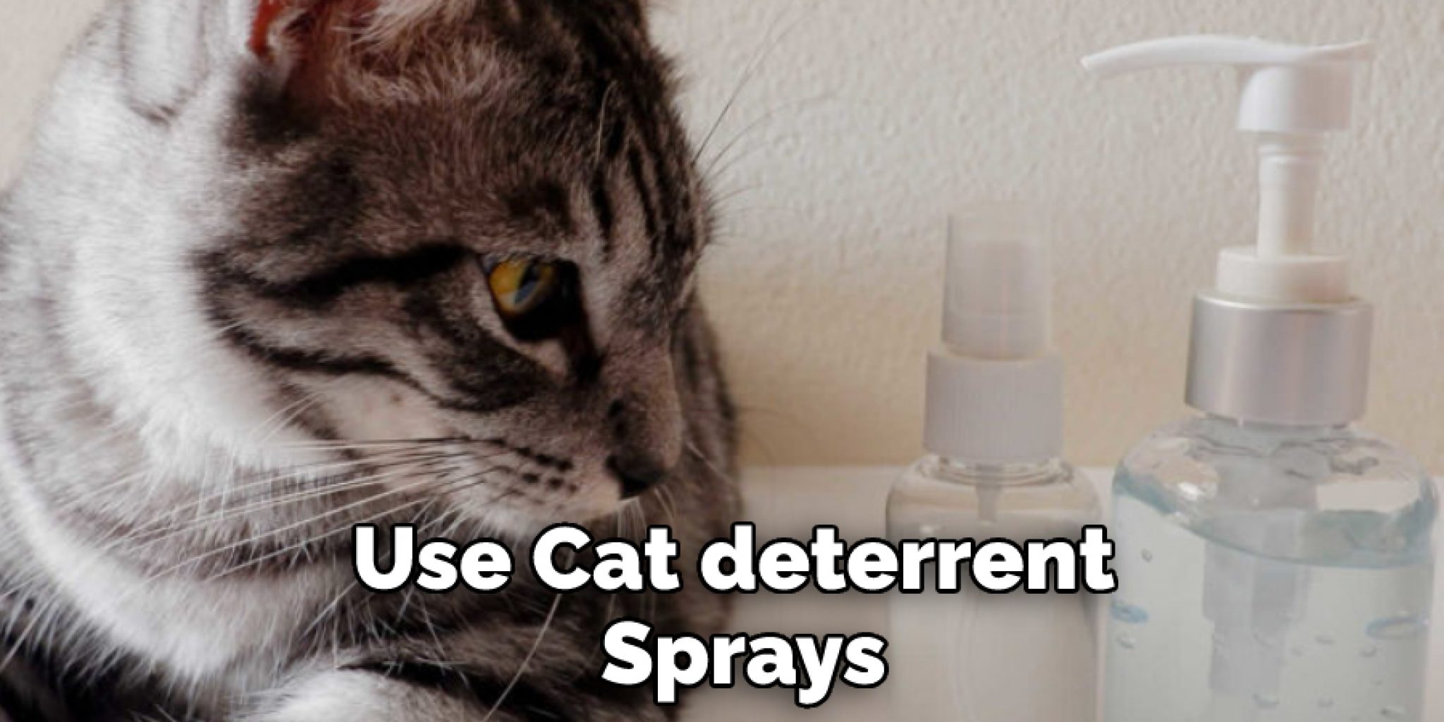 How to Cat Proof Cabinets | Described in 06 Steps (2026)